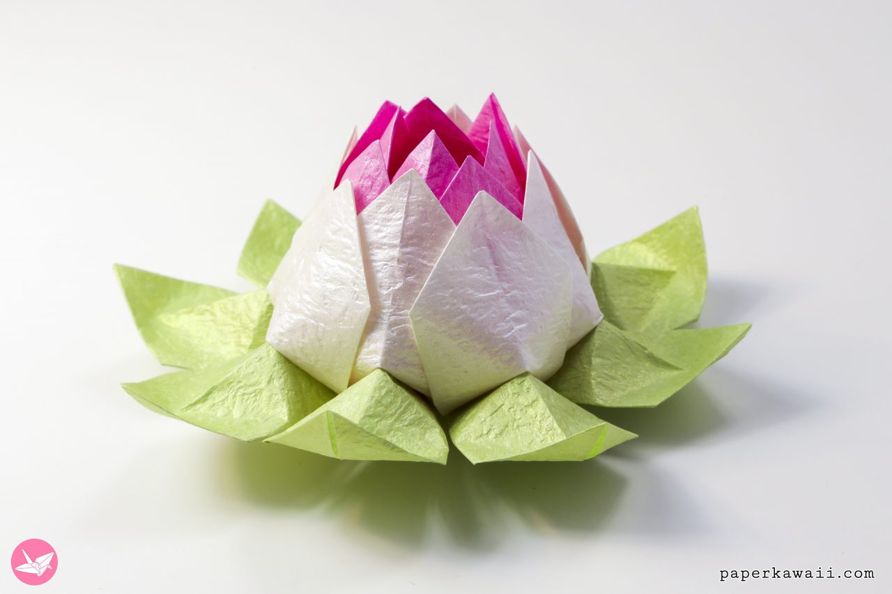 Modular Origami Lotus Flower - Video Tutorial - Paper Kawaii